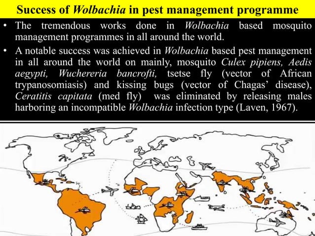 Wolbachia based strategies to control insect pests and disease vectors | PPTX