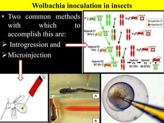 Wolbachia based strategies to control insect pests and disease vectors | PPTX