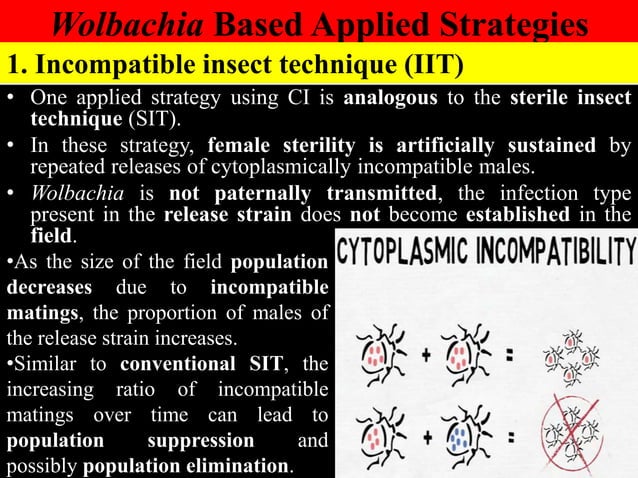 Wolbachia based strategies to control insect pests and disease vectors | PPTX
