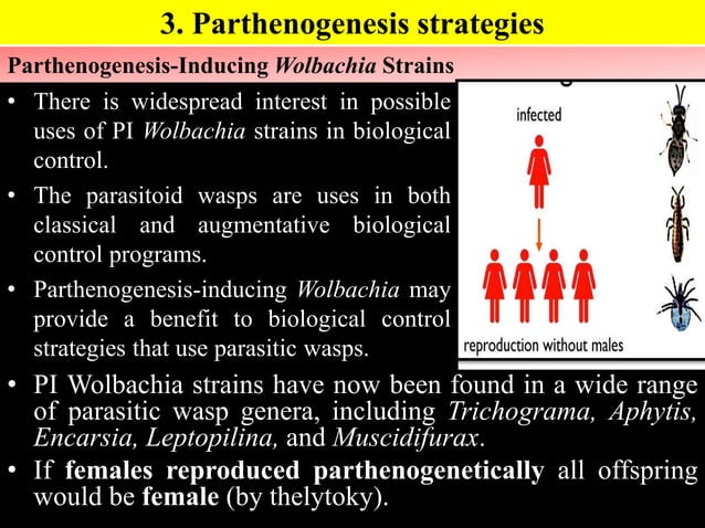 Wolbachia Based Strategies To Control Insect Pests And Disease Vectors