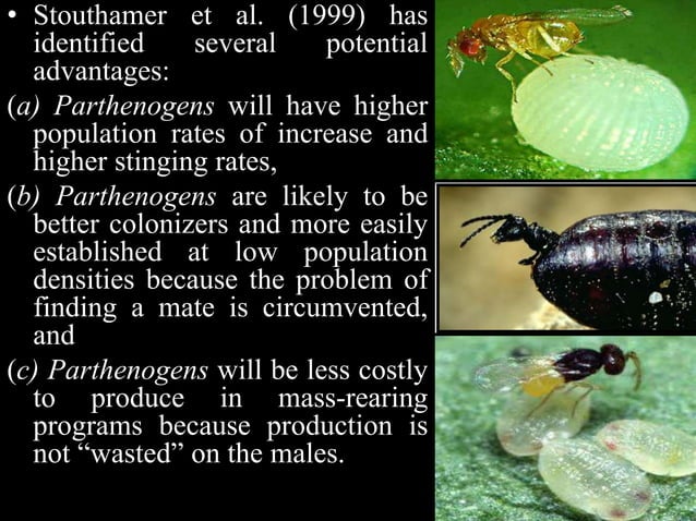 Wolbachia Based Strategies To Control Insect Pests And Disease Vectors