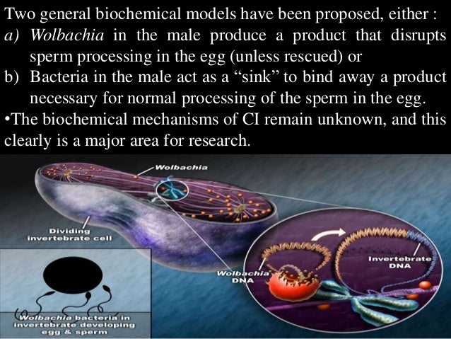 Wolbachia Based Strategies To Control Insect Pests And Disease Vectors