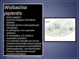 Wolbachia obligate intracellular symbiont reproductive strategies | PPTX