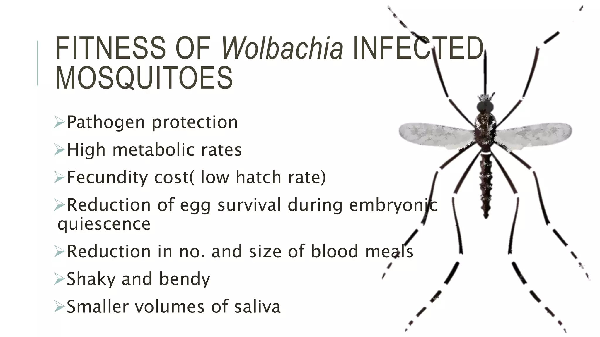 Wolbachia and dengue virus | PPTX