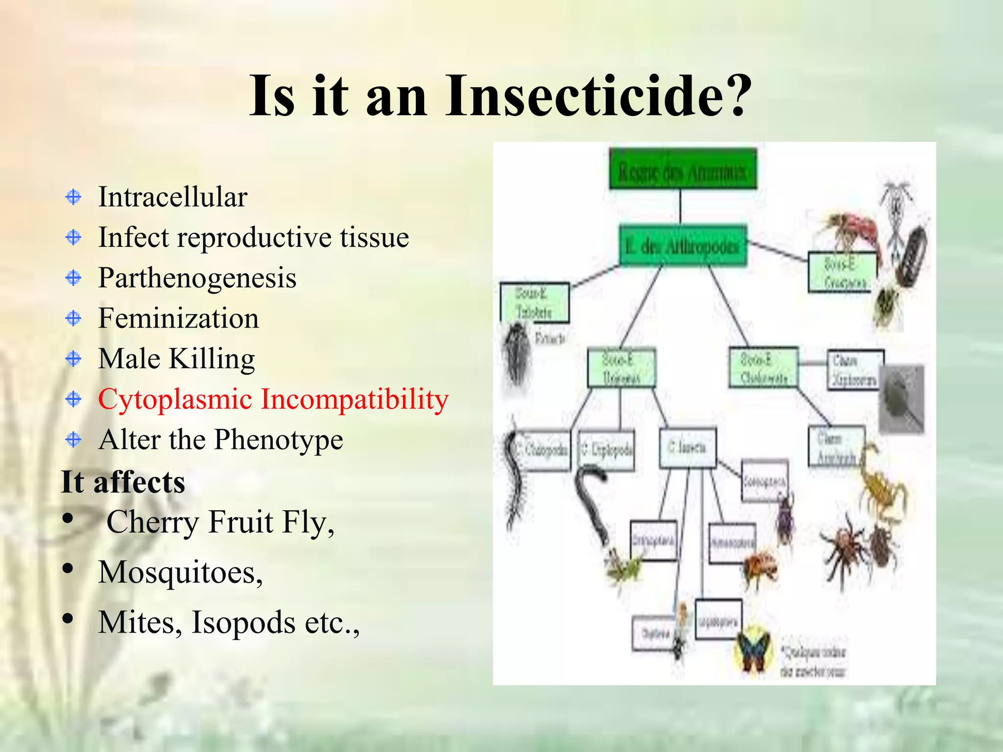 Wolbachia the biology of cytoplasmic incompatibility | PPTX