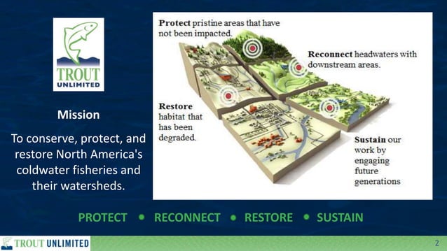 Amy Wolfe, Trout Unlimited, "A Decade of Progress for the West Branch ...