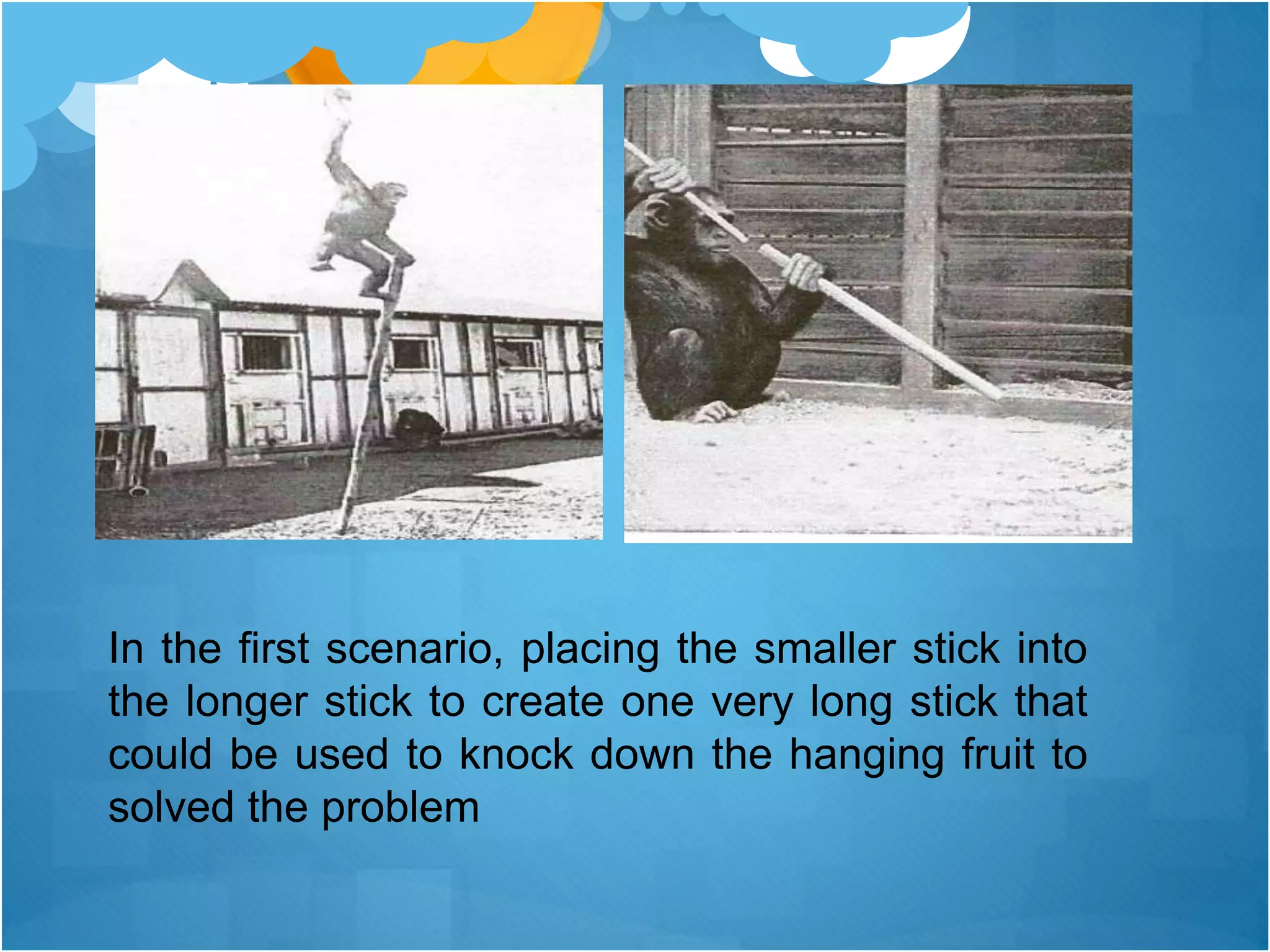 Wolfgang_Kohler.pptx