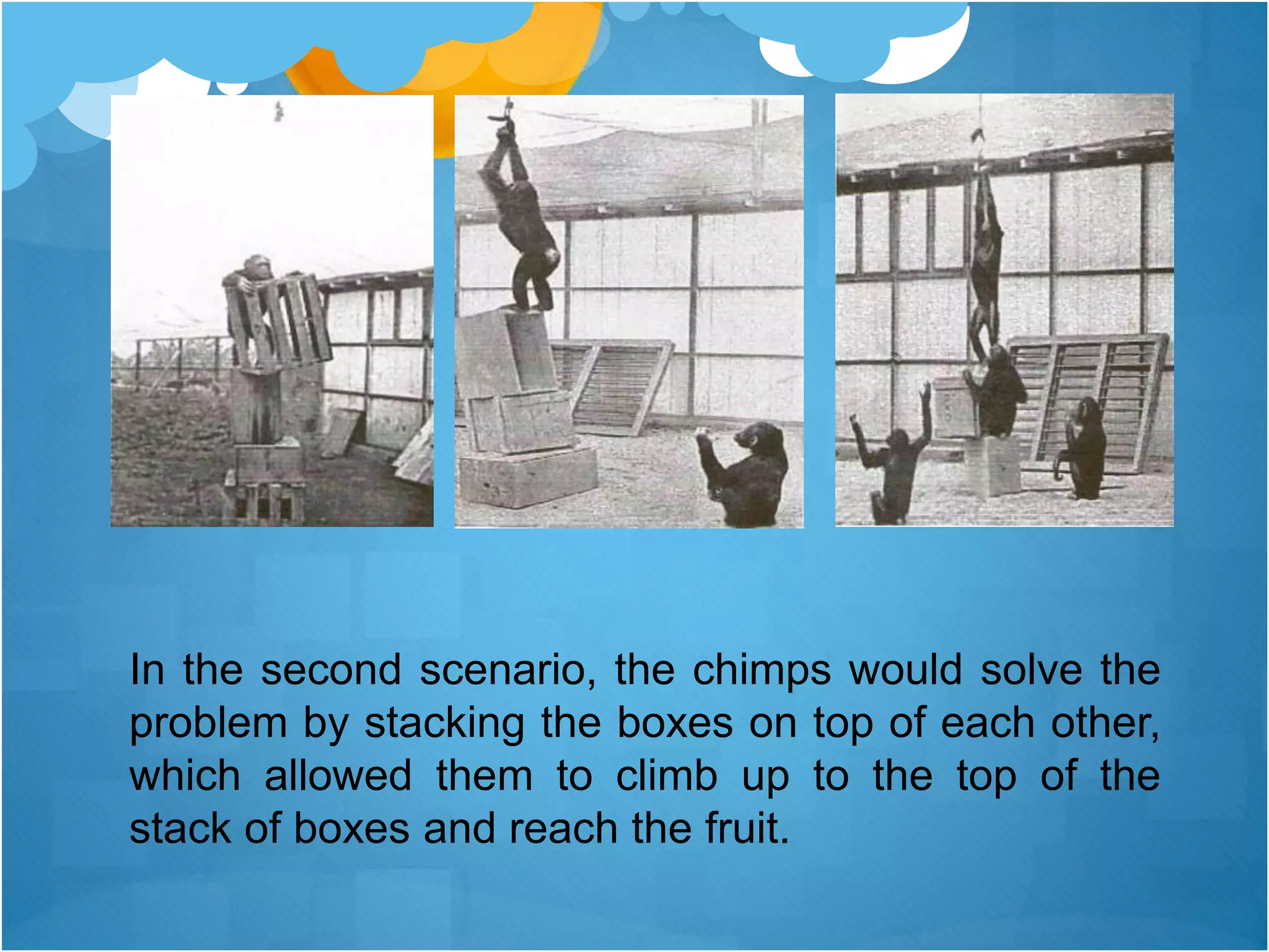 Wolfgang_Kohler.pptx