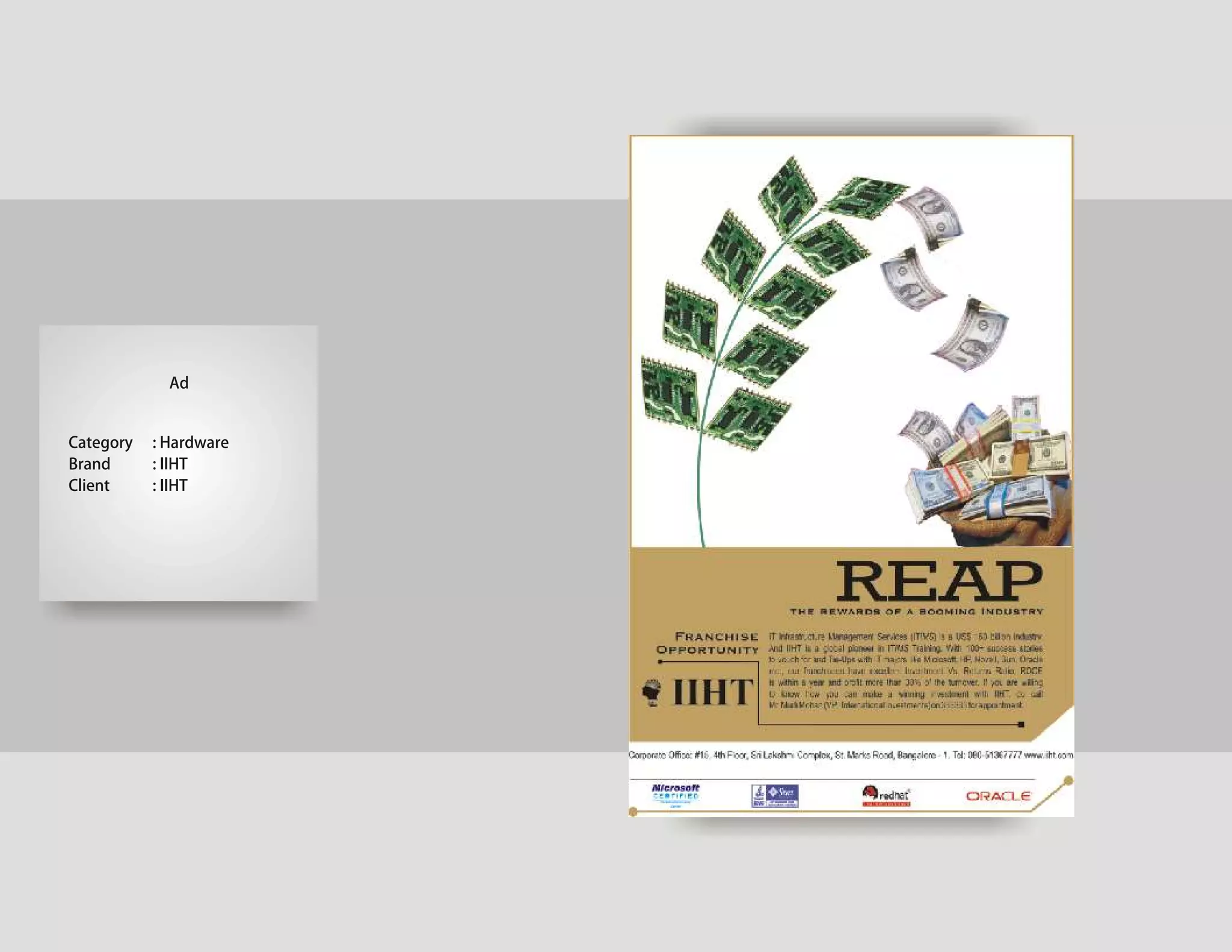 Wolf Communication Portfolio | PDF