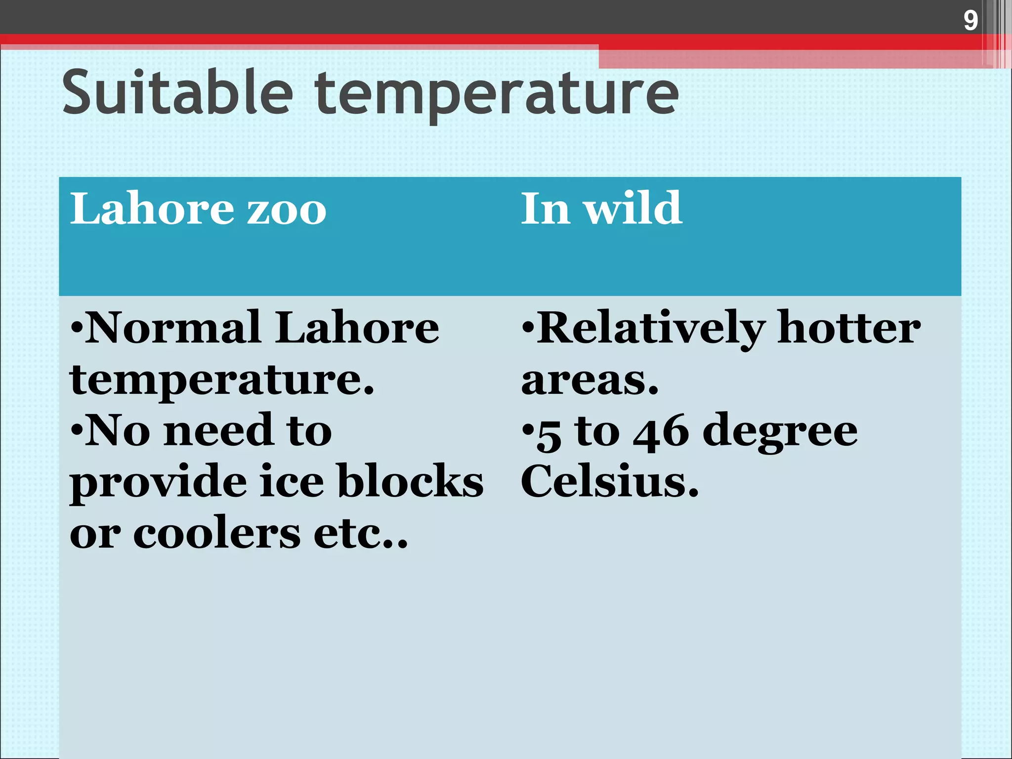 Asiatic Wolf presentation | PPT