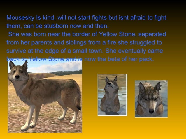 Wolfquest Wolves Slide Show | PPT