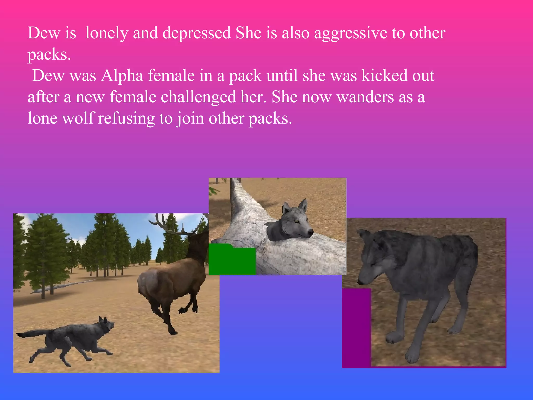 Wolfquest Wolves Slide Show | PPT