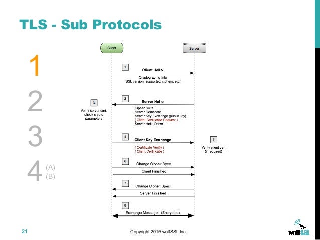 Securing Data In Transit