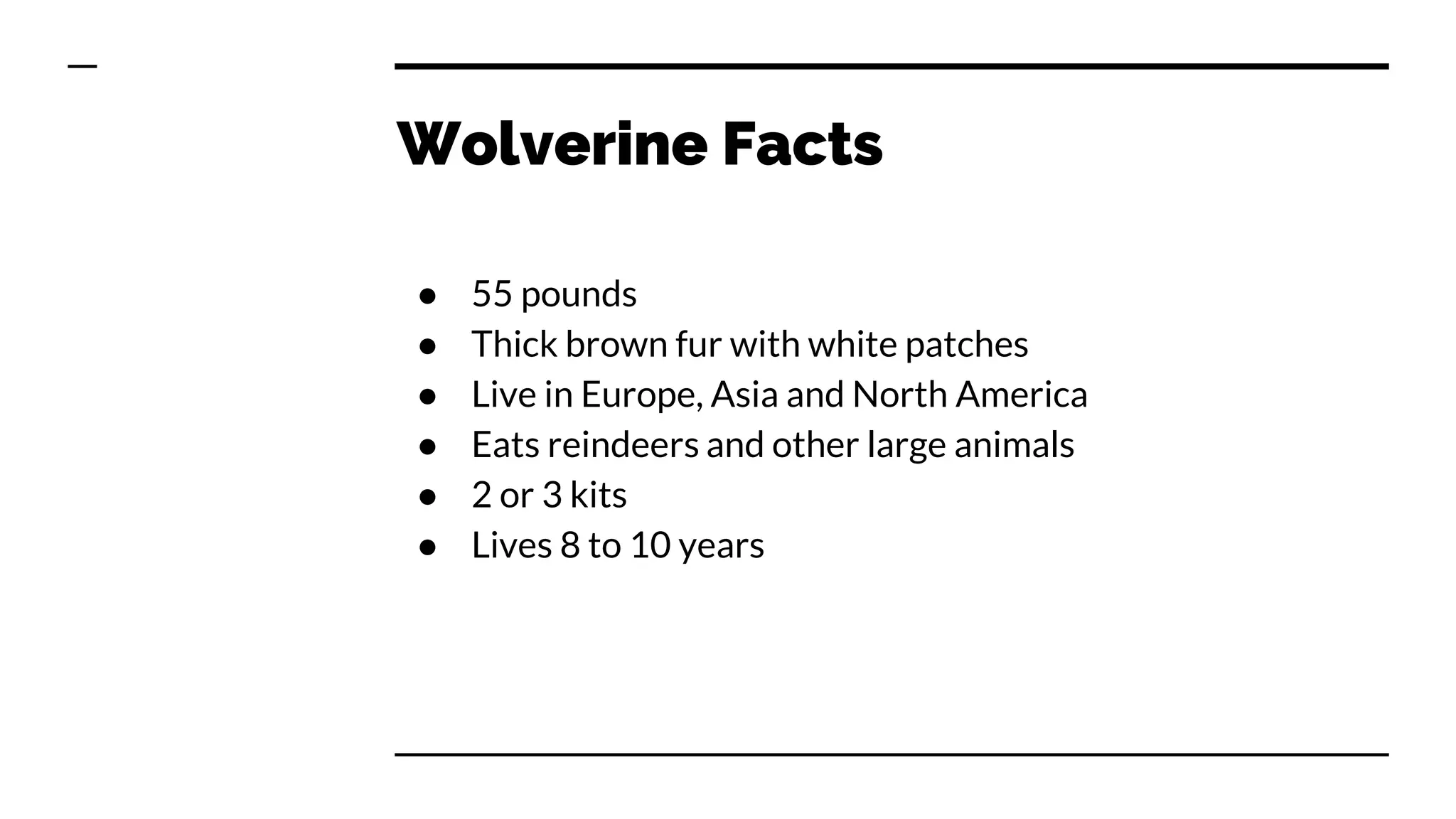 Wolverine vs. bobcat | PPTX | Cats | Pets