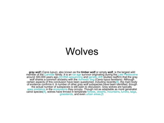 Wolves | PPT