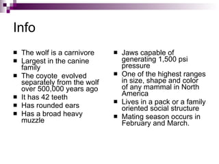 Wolves | PPT