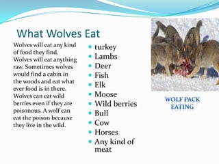 Wolves | PPTX