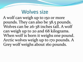 Wolves | PPTX