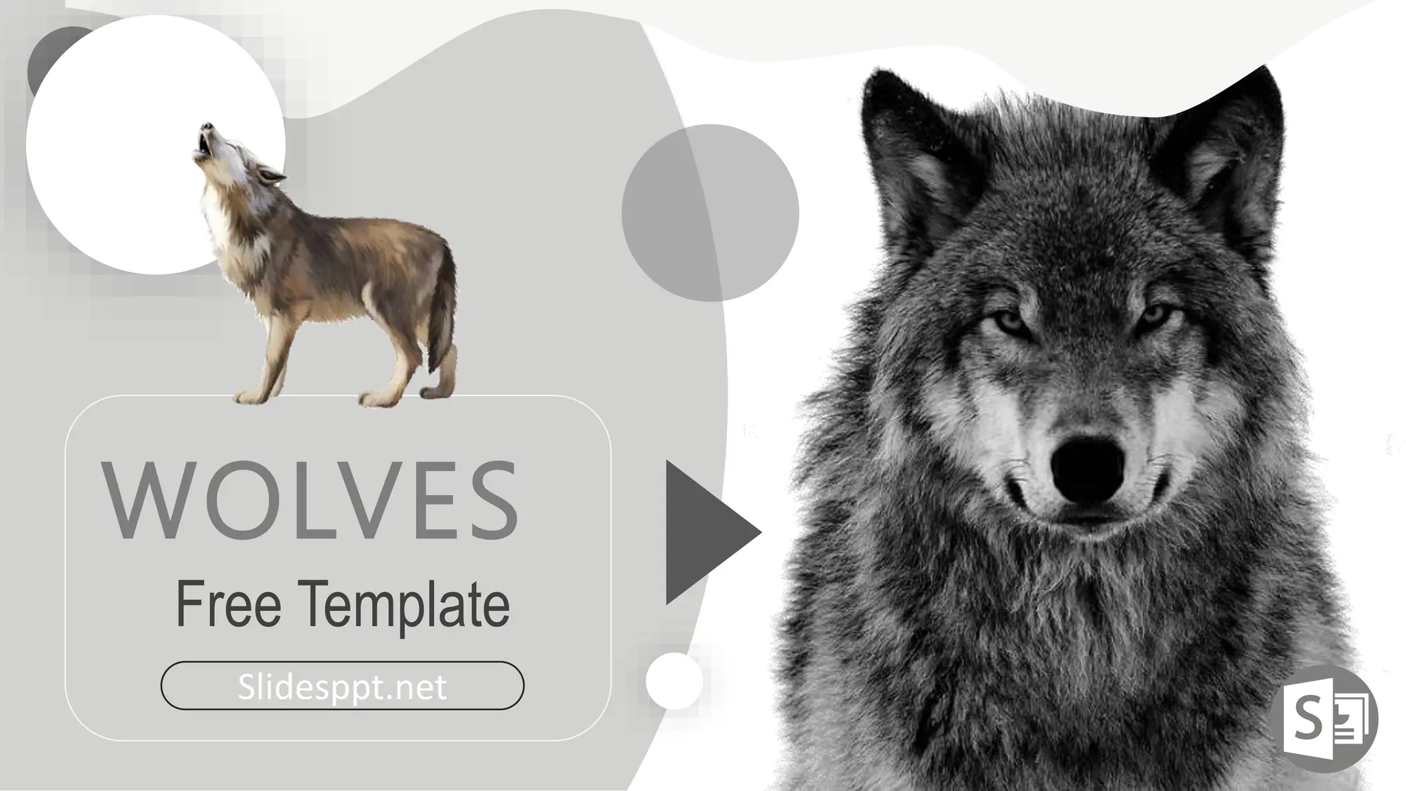 Wolves-Template-slidesppt.net_.pptx Loupd | PPTX