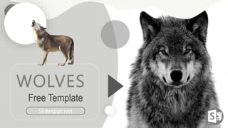 Wolves-Template-slidesppt.net_.pptx Loupd | PPTX
