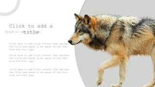 Wolves-Template-slidesppt.net_.pptx Loupd | PPTX