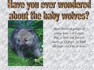 Wolves | PPT