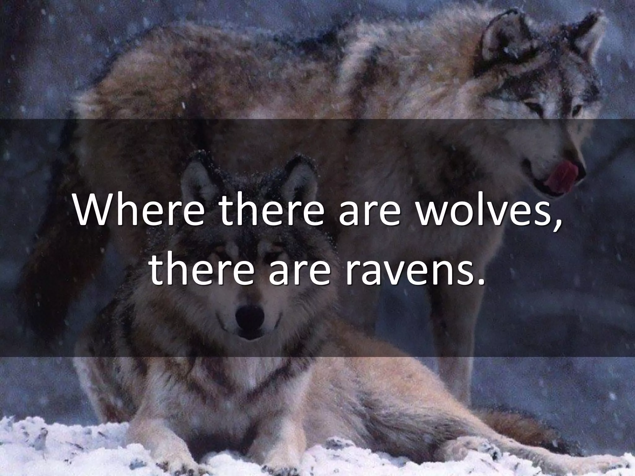 Wolves and Ravens | PPTX