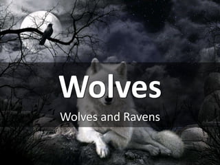 Wolves and Ravens | PPT
