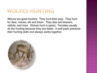 Wolves by | PPTX | Dogs | Pets