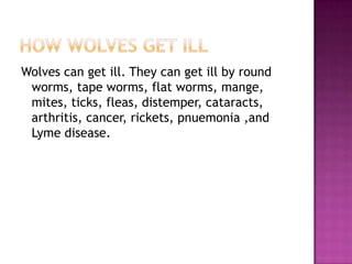 Wolves by | PPTX | Dogs | Pets