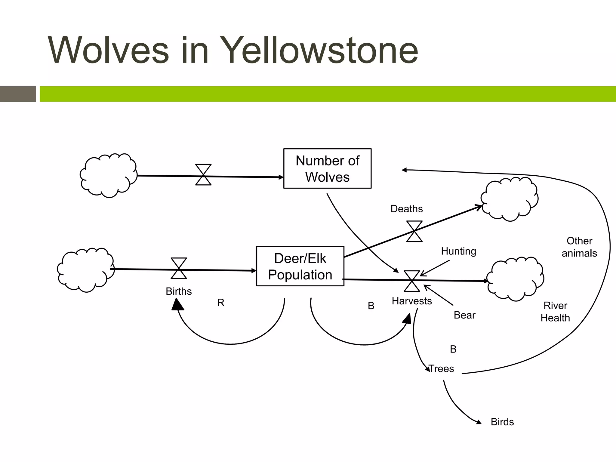 Wolves in yellowstone | PPT