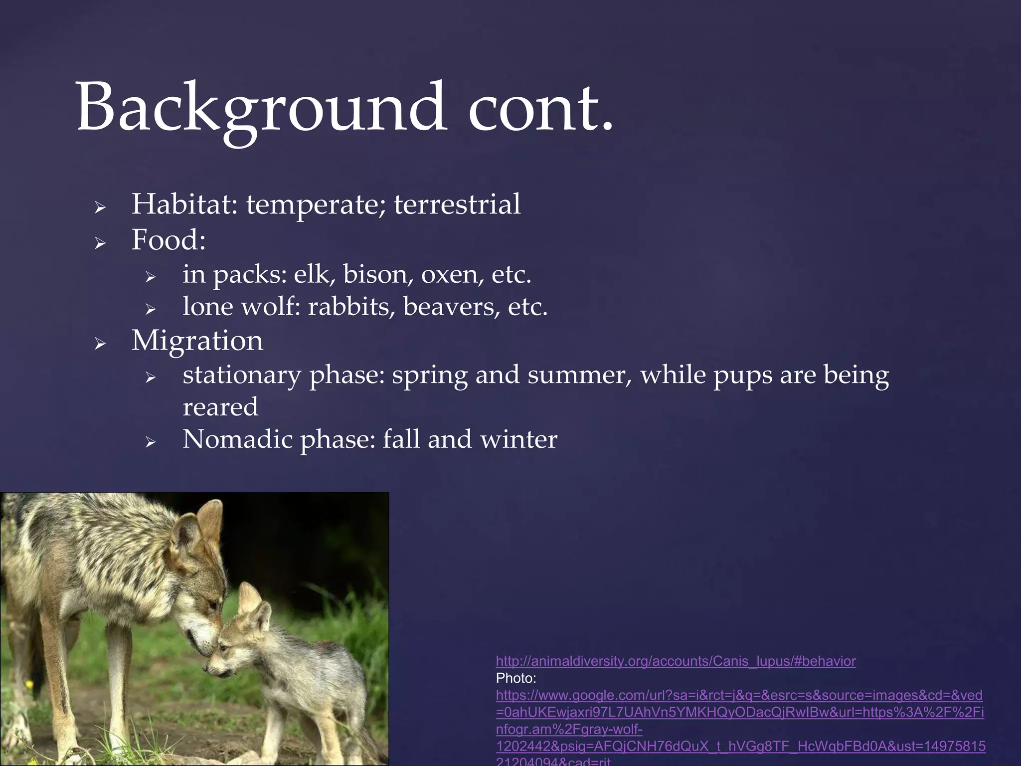 Wolves presentation.pptx