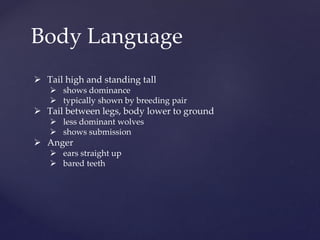 Wolves presentation.pptx