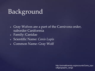 Wolves presentation.pptx