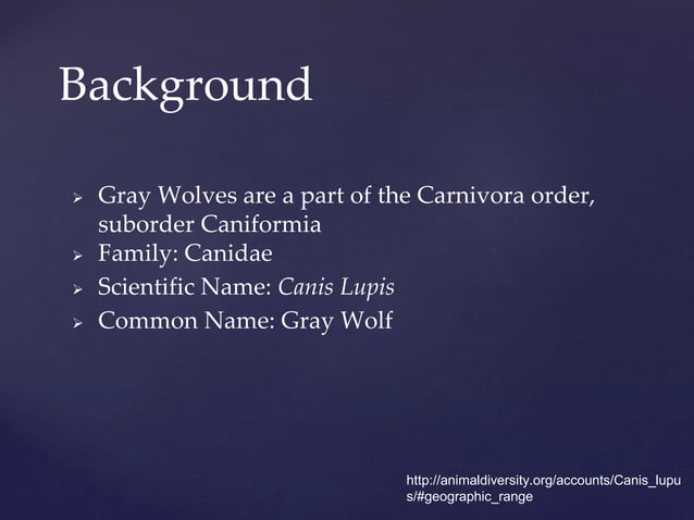 Wolves presentation.pptx
