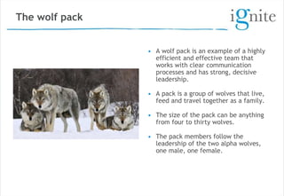 Learning with wolves | PPTX