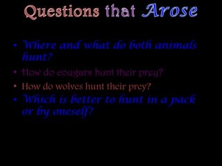 Wolves Vs Cougars | PPT