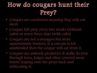 Wolves Vs Cougars | PPT