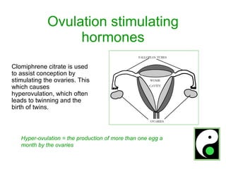 Womb Twin Survivors (1) - Signs of a twin | PPT