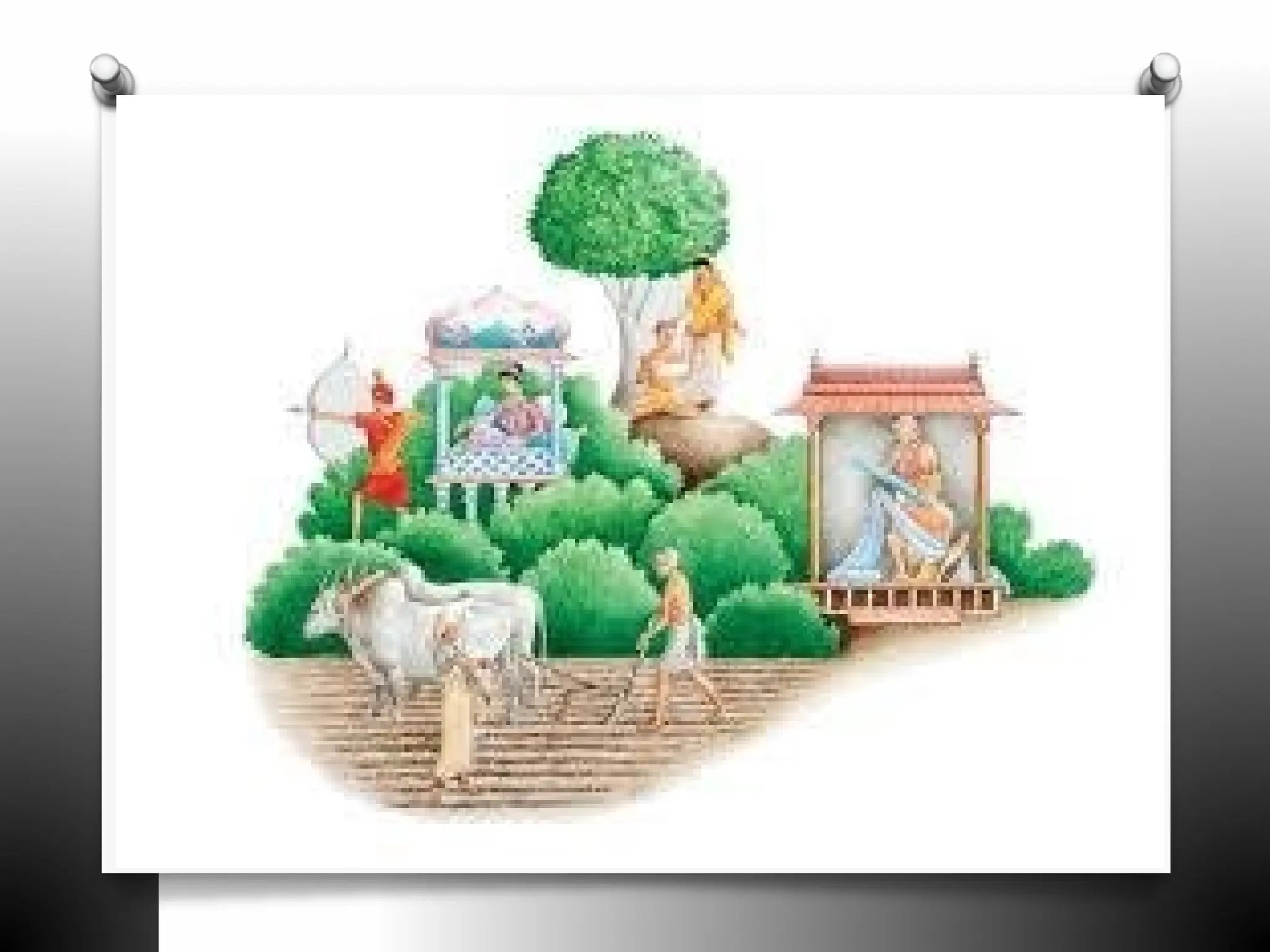 WOMEN_CASTE_REFORM_CLASS-8.pptx.women.caste | PPTX