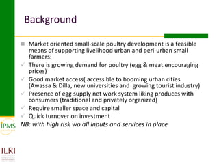 Womens group-based pullet supply business development in selected ...