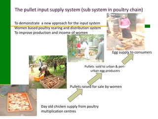 Womens group-based pullet supply business development in selected ...