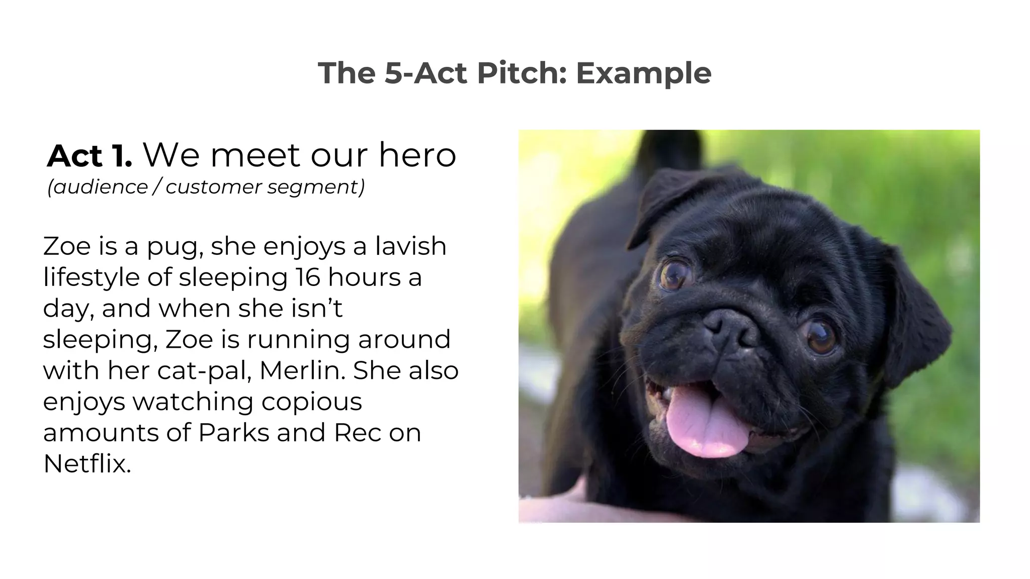 Pitching an Idea, Prototype and Startup | PDF