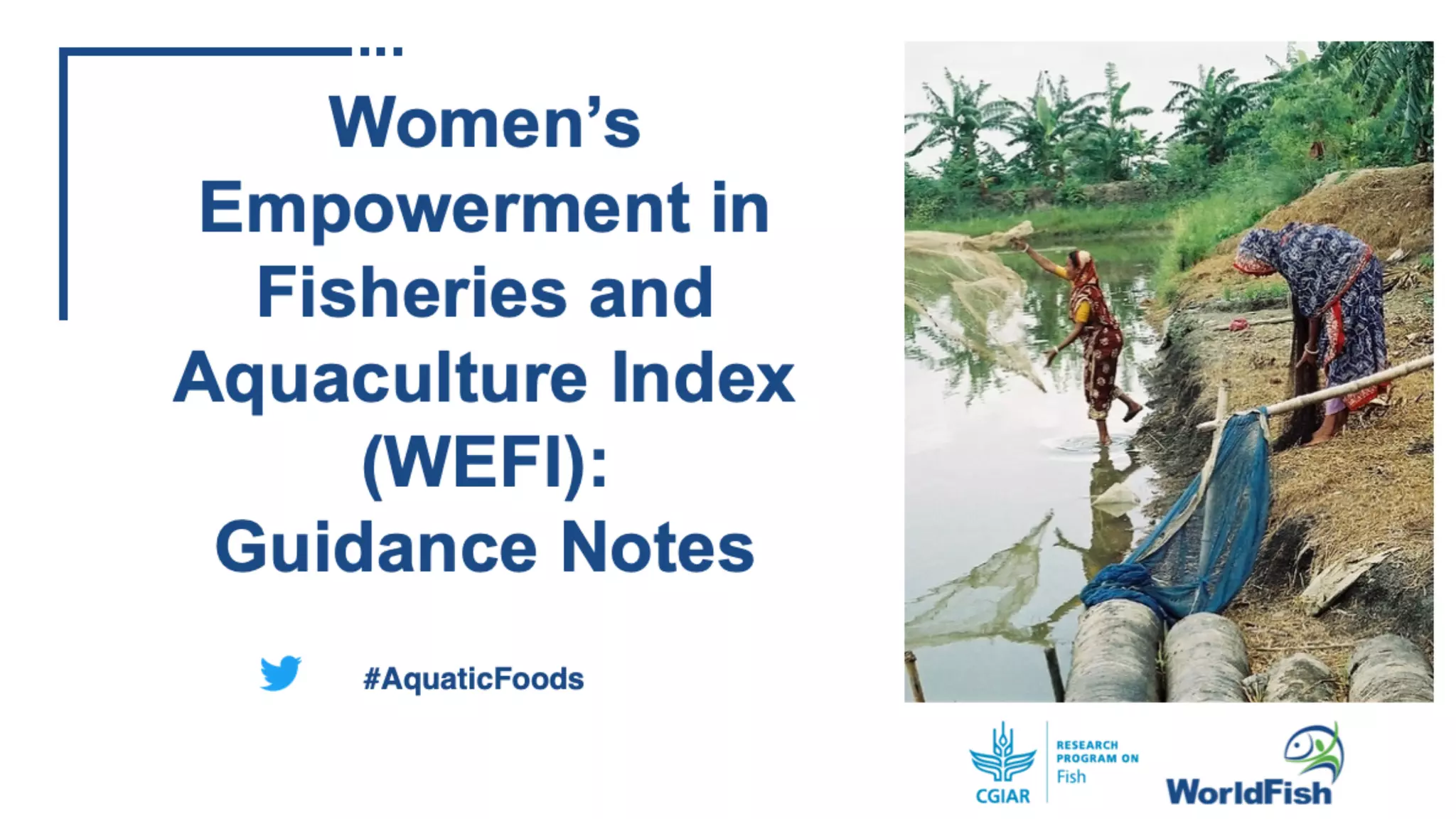 Women’s Empowerment in Fisheries and Aquaculture Index (WEFI): Guidance ...