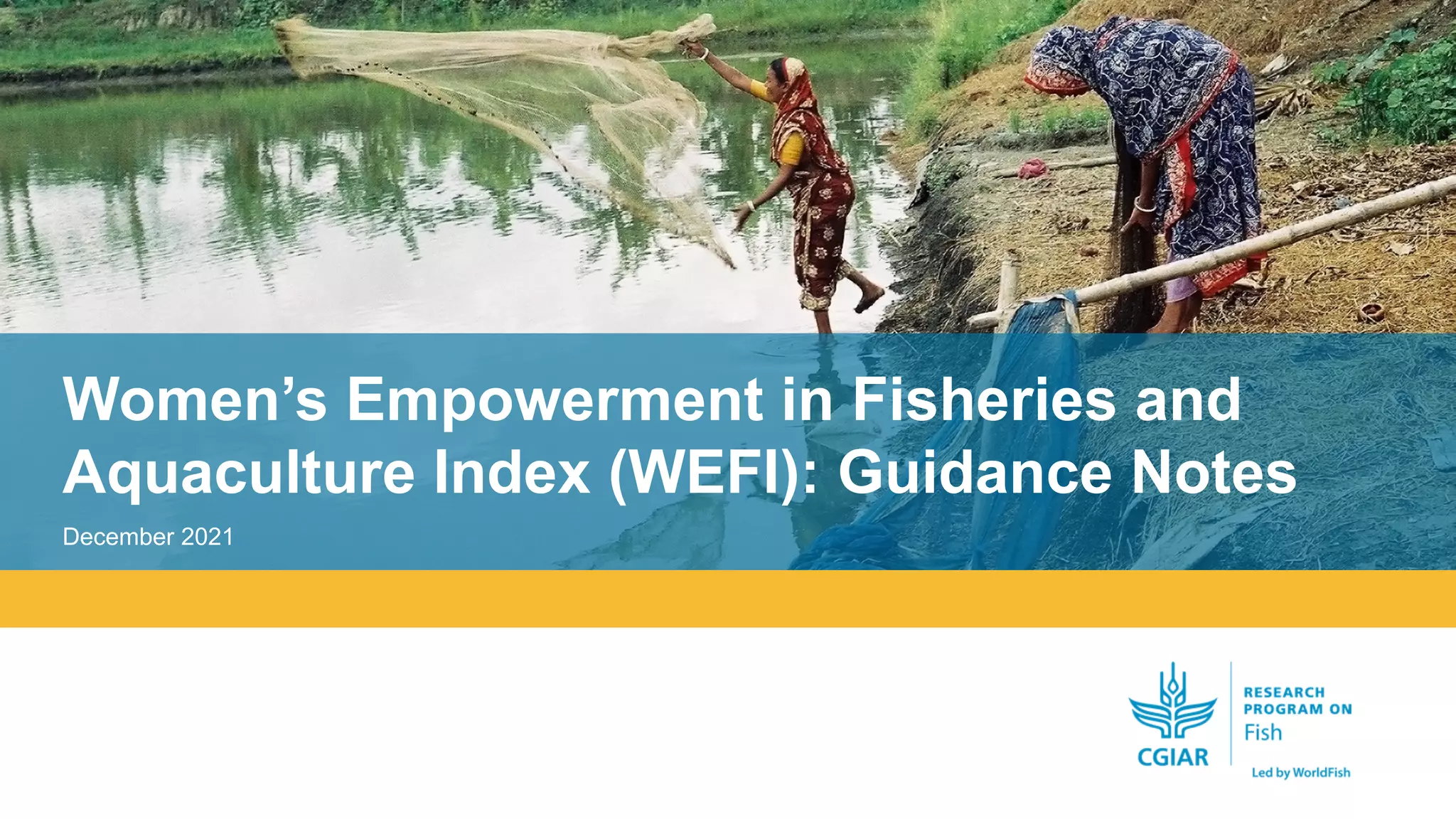 Women’s Empowerment in Fisheries and Aquaculture Index (WEFI): Guidance ...