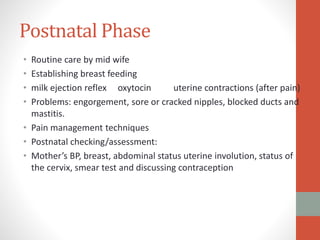 Women's health antenatal post natal | PPTX
