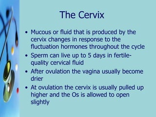 Womens health issues powerpoint | PPSX