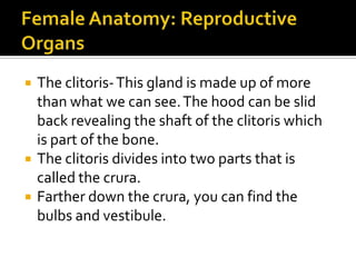 Womens health teachback female body | PPT