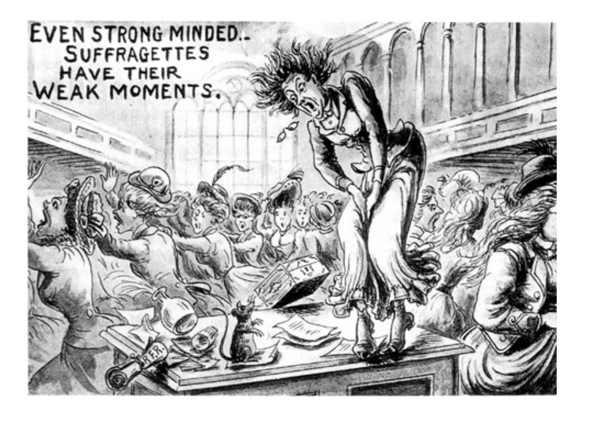 Women's suffrage political cartoons | PDF
