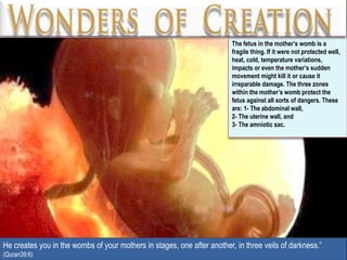 Wonders of creation | PPTX